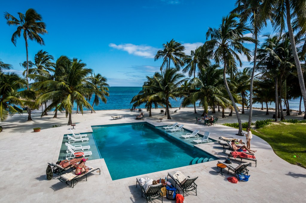 Postcard | CHASING THE VINE